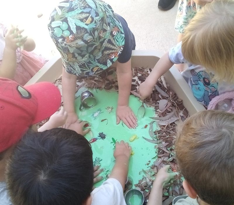 Sonas Ardross - Finding Bugs - Sonas Childcare