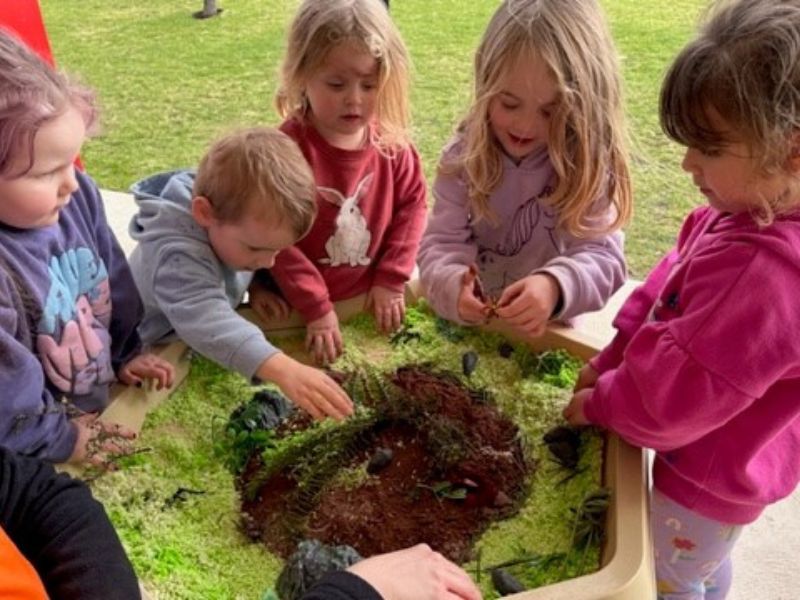 Sonas Ashby - Finding Bugs - Sonas Childcare