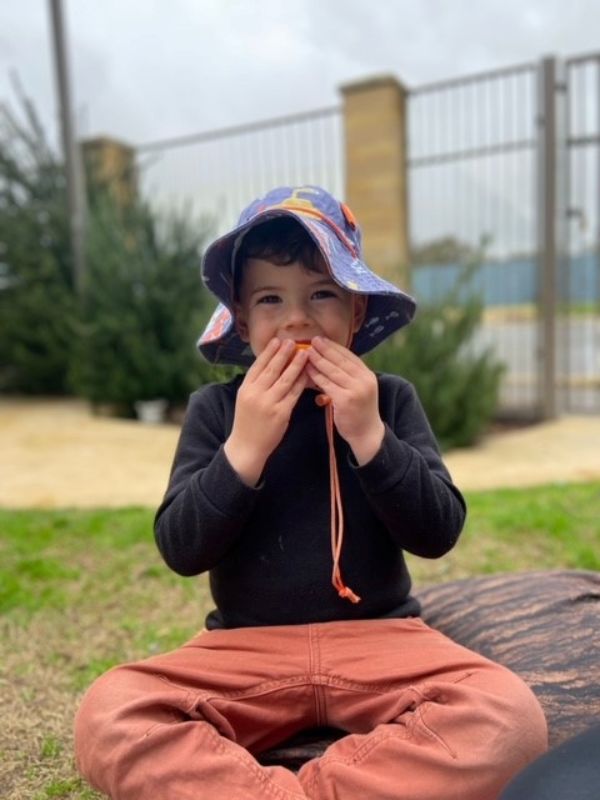 Sonas Wattle Grove - Teddy Bear Picnic - Sonas Childcare